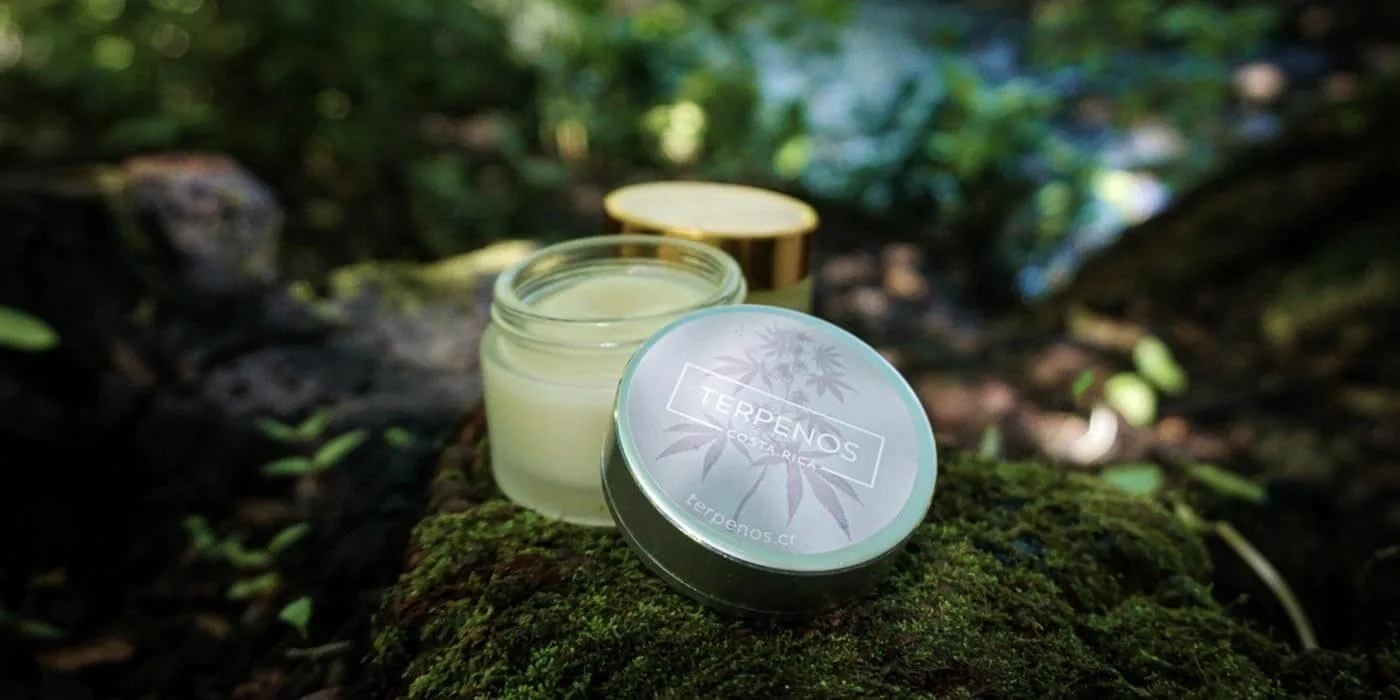 Colores de Facebook ⋆ Digital TICO